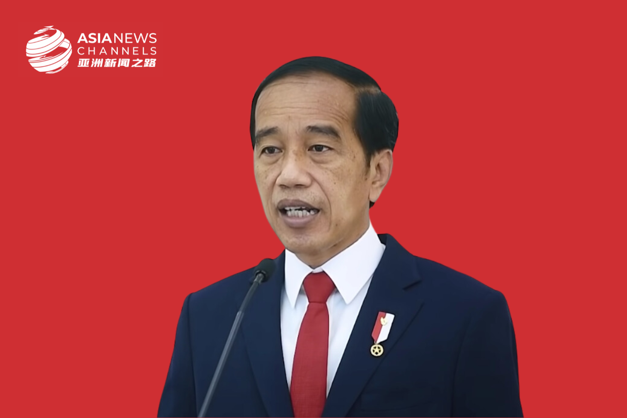 President Widodo Seeks Japan's Support for Energy Transition | Asia ...